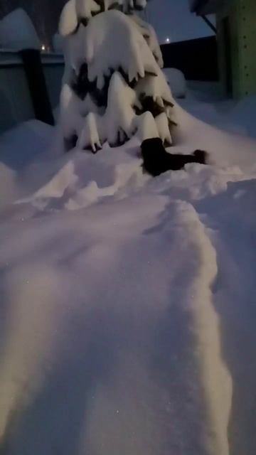 "Где лето? 
-Джек найдёт его!"