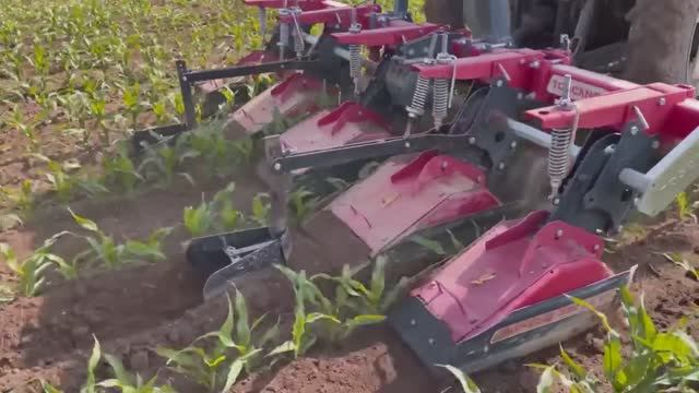 Междурядные фрезерные культиваторы Toscano