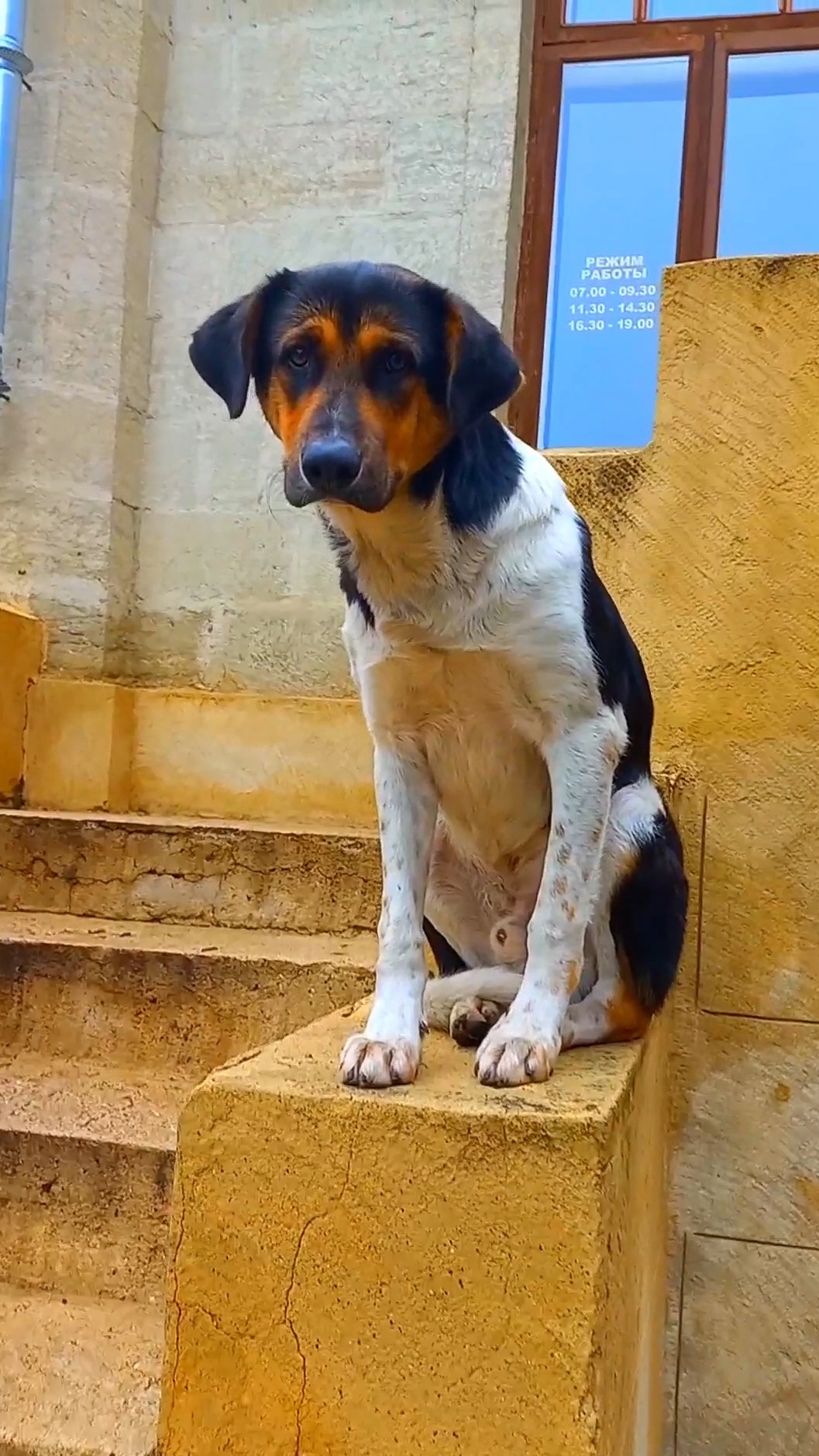 Ессентуки 2021