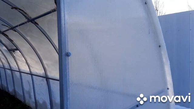 Старый Новый год. Примула. Березка. Погода.