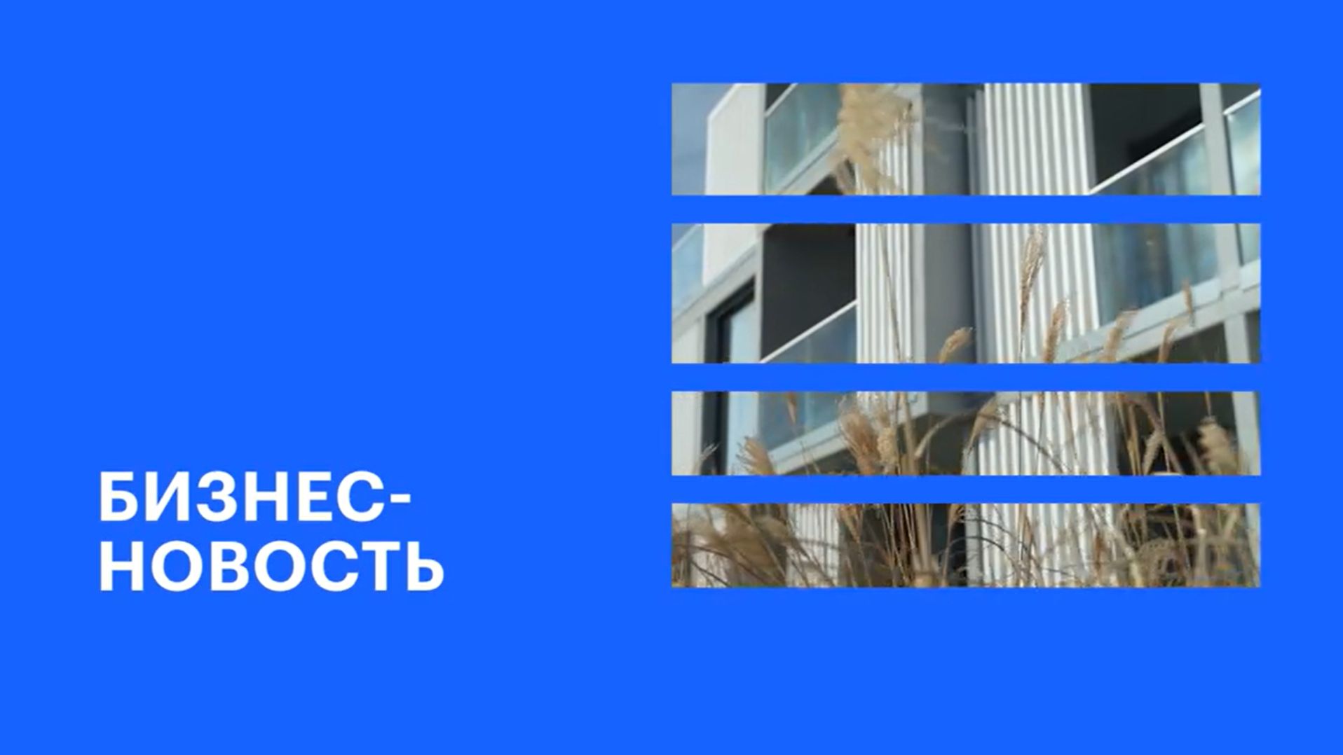 В Краснодарском крае открылся пятизвёздочный отель Veselovka Experience || РБК Бизнес-новость