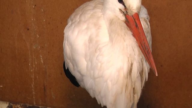 2026.02.03 ПОЙДЕМ ПОСМОТРИМ 05