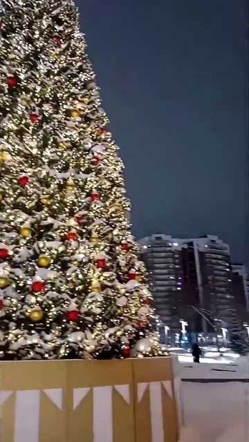 Забытый праздник, 3 февраля.