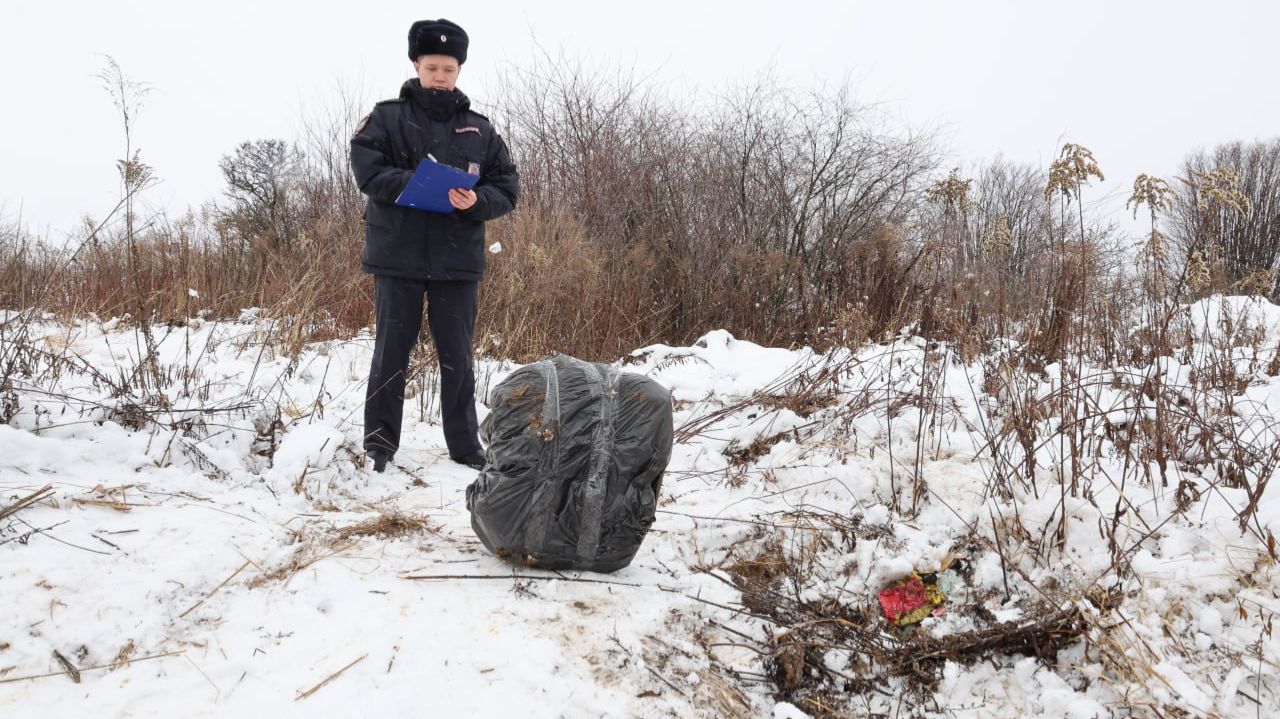 Свыше 75 килограммов изготовленной на продажу марихуаны изъяла пензенская полиция у наркоагронома