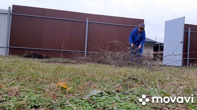 20.01.24. Измельчаем ветки. Пеку вкусняшки.