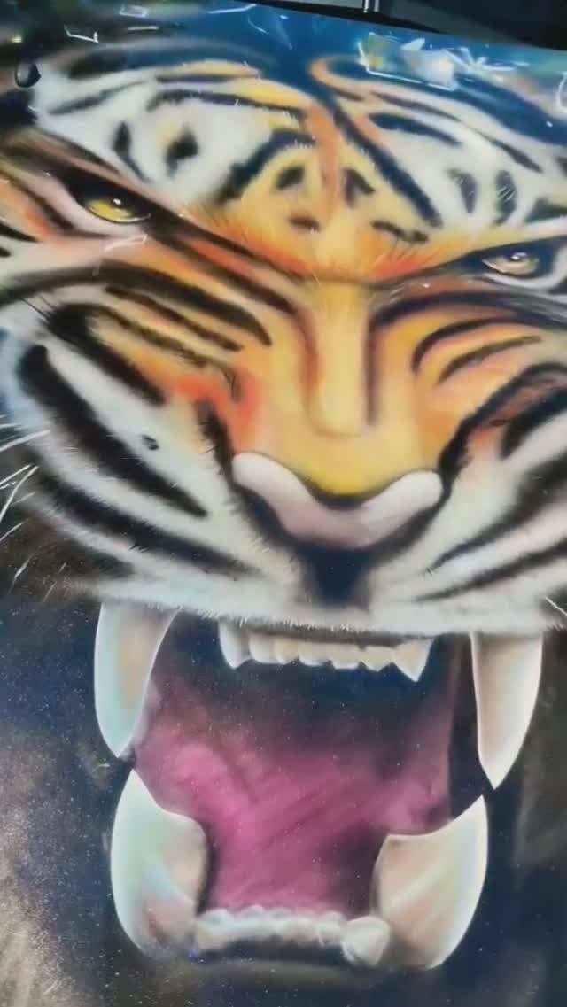 #automobile, #mitsubishi, #lancer, ОСТОРОЖНО, ТИГР НА ДОРОГЕ!