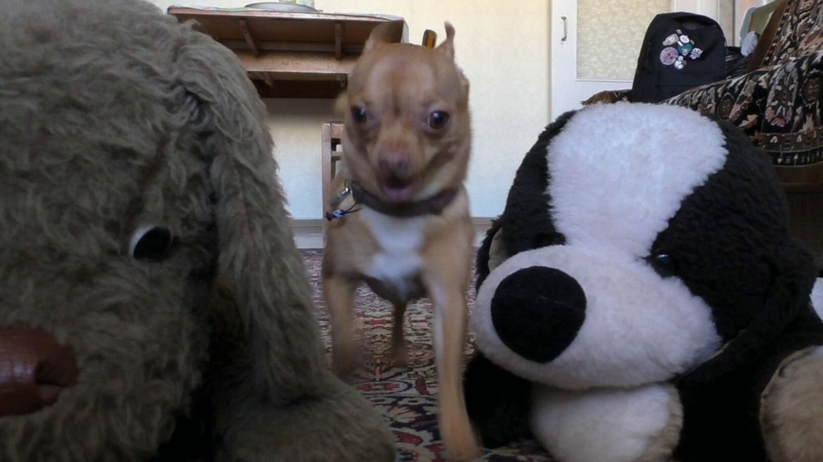 ОЙ, КАК ВЕСЕЛО, ой, ОЙ