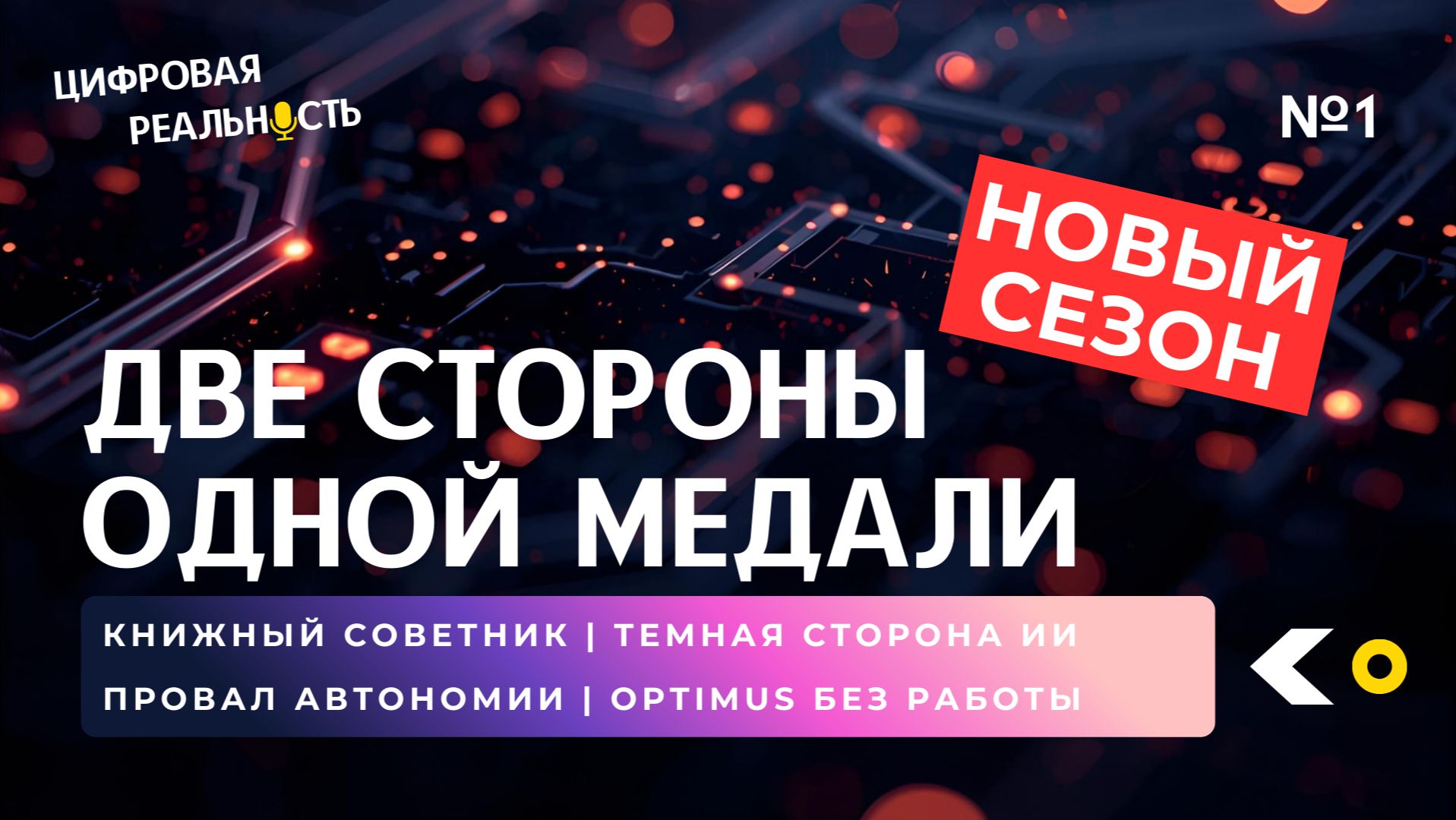 Две стороны одной медали || Подкаст «Цифровая реальность»