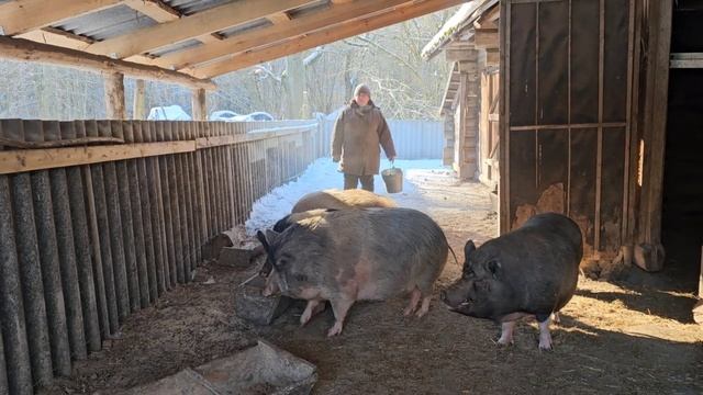 Хутор Замошье/ОТ БОЛЬШОЙ ЦЕННОСТИ ДО ГРУДЫ ХЛАМА_ КАК ВРЕМЯ ОБЕСЦЕНИВАЕТ НАШИ ВЕЩИ.