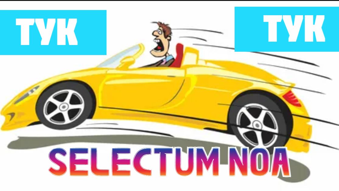 Selectum Noa Resort Cam Ranh. Селектум Ноа резорт Камрань. ПОЕЗДКА НА ТУК ТУКЕ