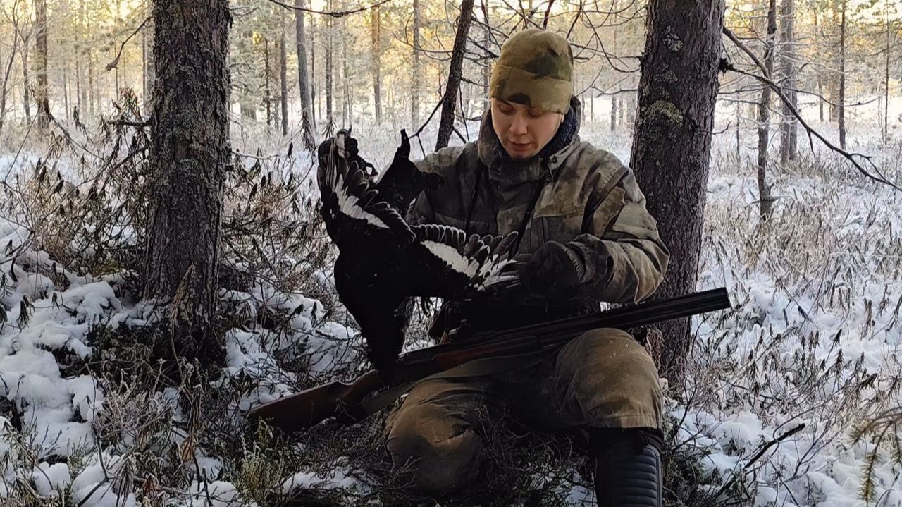 Изба на горе у моря - Добыл на охоте