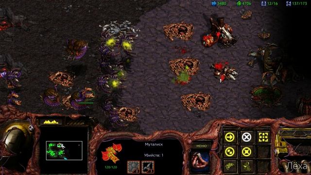 StarCraft Brood War Remastered 24