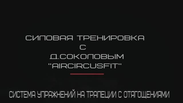 Силовая тренировка "Aircircusfit" (подъём гантелей на бицепс во вращении на трапеции)