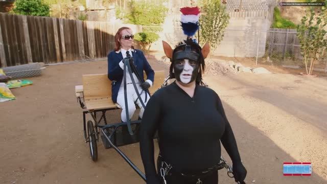 Люблю играть в пони. ПЕРЕВОД. Странности