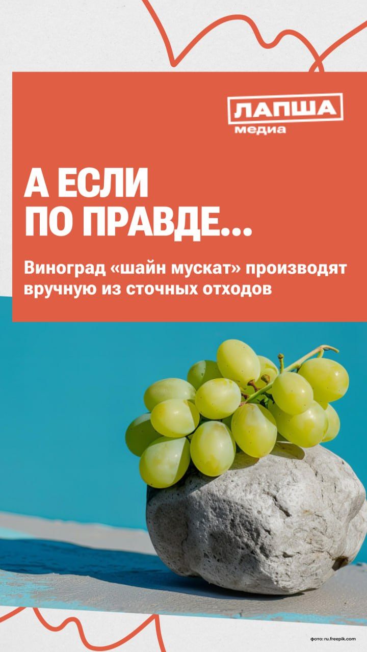 Правда, что китайский виноград «шайн мускат» накачивают химикатом?