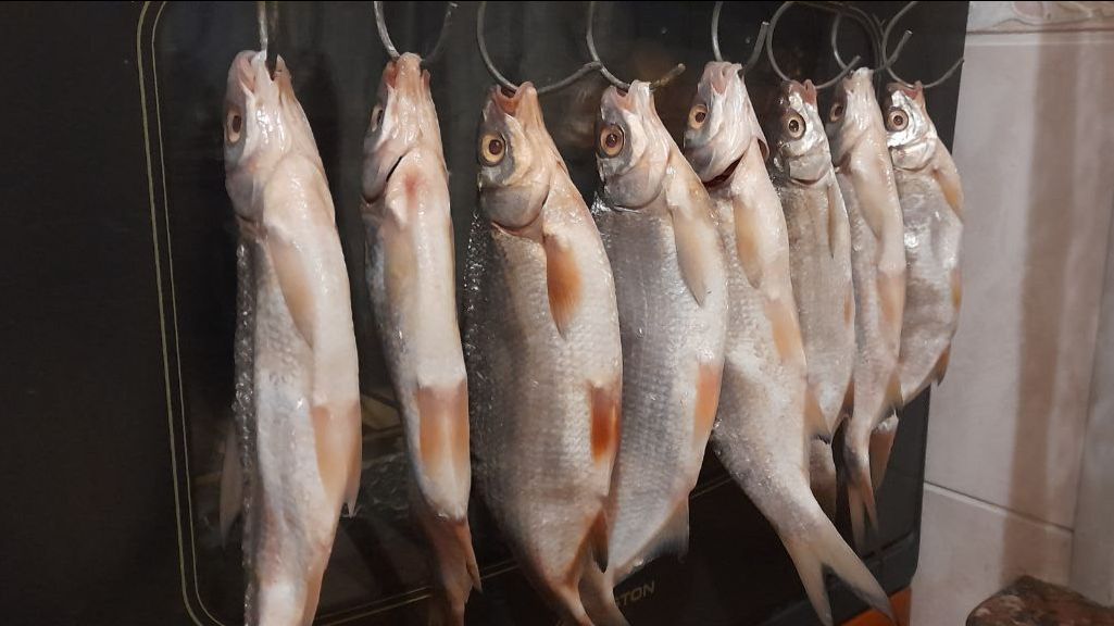 Рыбалка на рыбца.