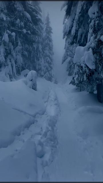 Зима, снег, мороз ❄️  Место где спокойно 🍀🍀🍀