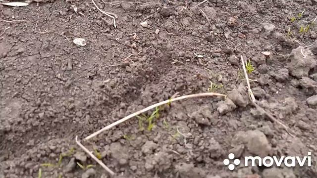 19.03-21.03.24.Пожар🔥. Весна идет 🌺. Обработка деревьев.