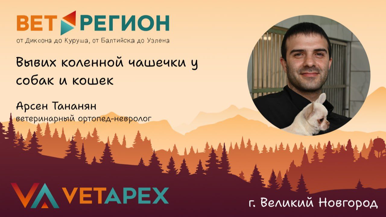 ВетРегион. Арсен Тананян "Вывих коленной чашечки у собак и кошек"