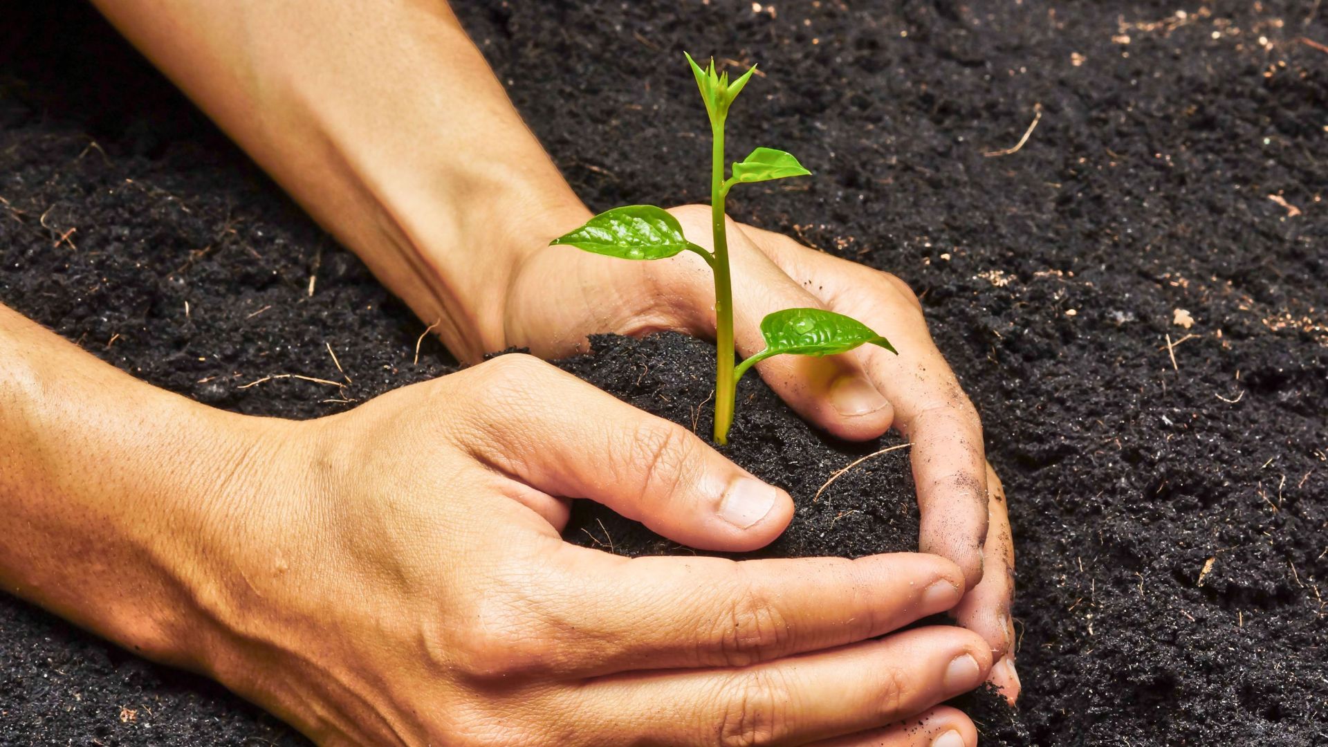 И КАК БЫ ТРУДНО НИ БЫВАЛО, ТЫ ВЕРЕН БЫЛ СВОЕЙ МЕЧТЕ