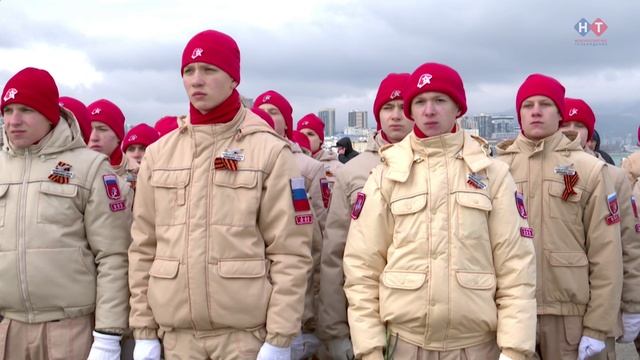 БЕЛЫЕ ЧАЙКИ