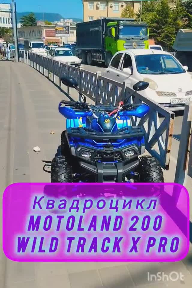 Квадроцикл MOTOLAND 200 WILD TRACK X PRO #automobile , #quad, #bike