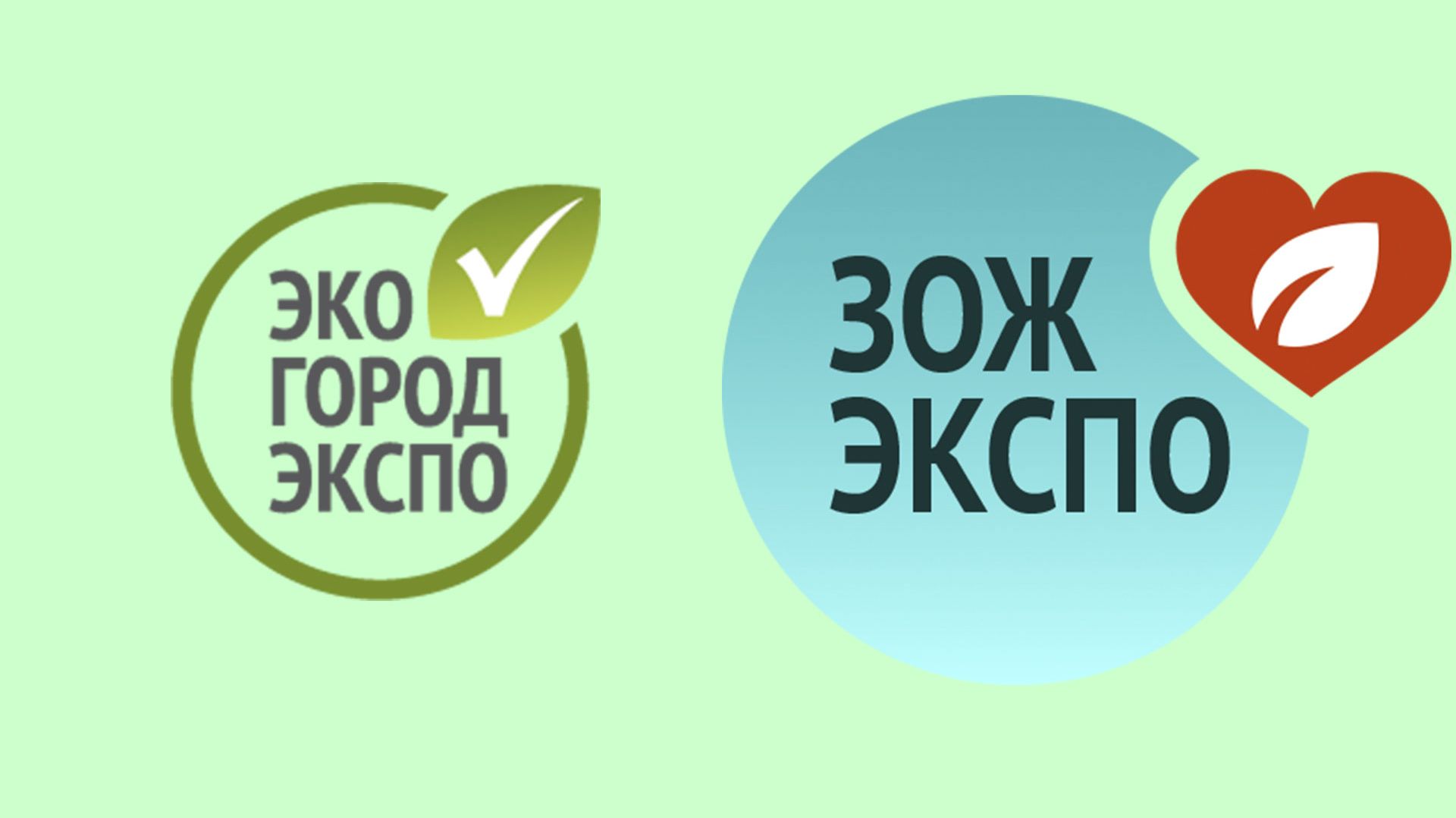 Синергия Экогород и ЗОЖ