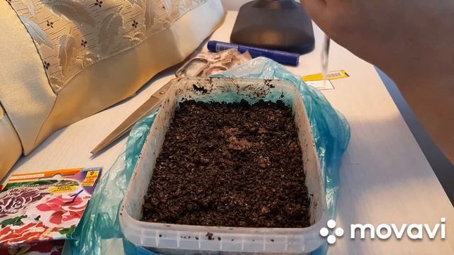 25.01.24. Посеяла первую партию петуний и флоксов.