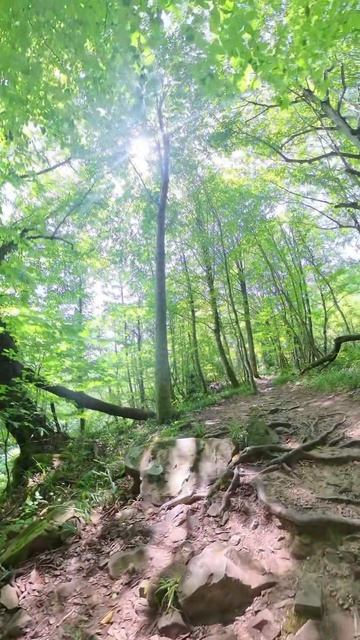 Свирское ущелье. Лазаревское. Сочи. Август 2025. INSTA360 X5. Ч34.