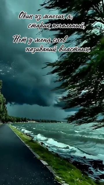 "Один из многих я..." А.М.Момынов, стих 87,  #поэзия #стихиожизни #музыка