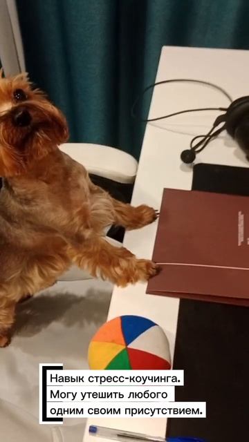 Мимимишные сотрудники "А.Н.Т."