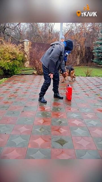 Хозяину - владеть своей агрессией.