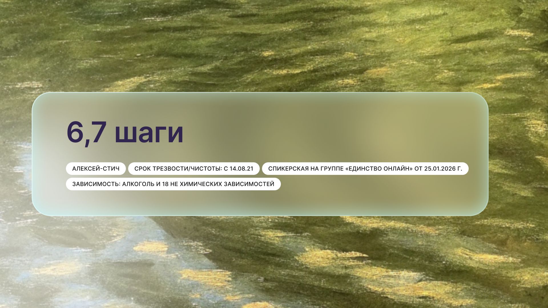 «6,7 шаги», Алексей-Стич