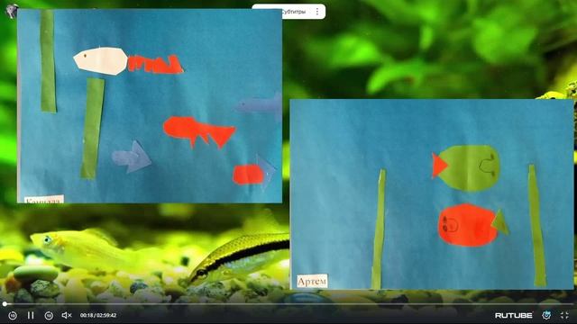 Аквариум. 04.02.2026