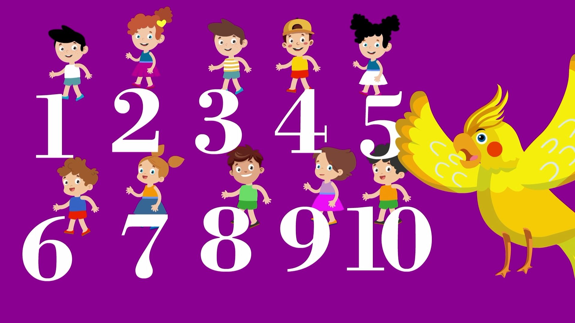 Считаем до 10 и учим цвета с попугаем Илюшей - Любаша Зебра в клеточку - Песенки для детей малышей