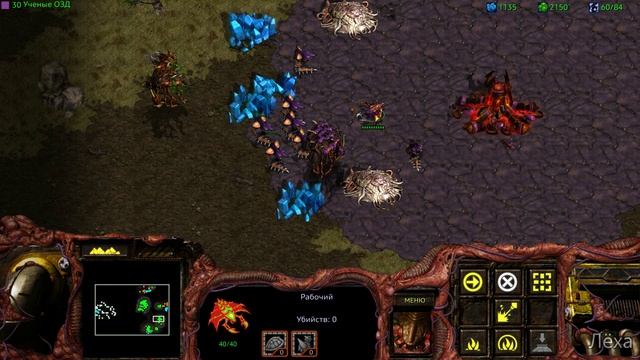 StarCraft Brood War Remastered 22