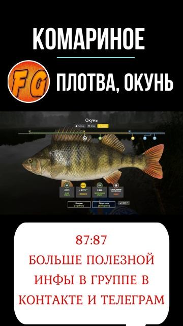 ТРОФЕЙНАЯ ПЛОТВА И ОКУНЬ на КОМАРИНОМ. Точка лова плотвы и окуня. Русская рыбалка 4