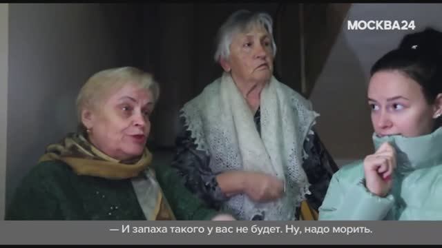 Со своими тараканами: Москва24 в сюжете «Общежития незнакомцев» про тараканов в квартире