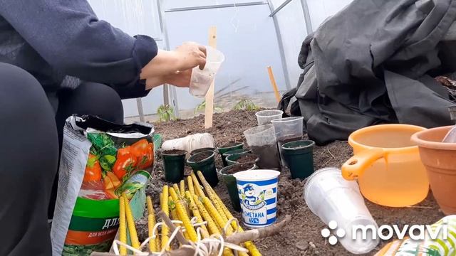 22-24.03.24. Опять цветы. Посев огурцов. Растишки просыпаются.