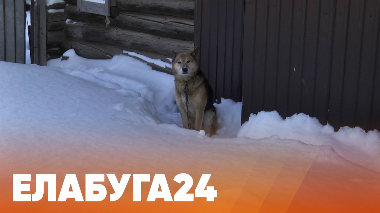 Новости Елабуги от 4 февраля 2026