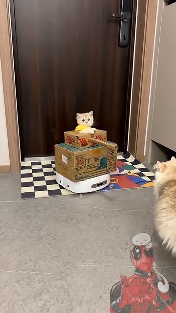 Как же мне с тобою повезло 😼🫶😎