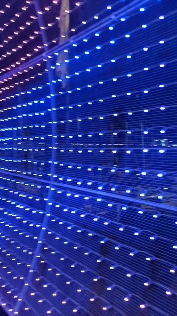 Мадейра_часть_2021-12-19