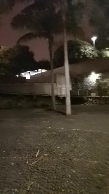 Мадейра_часть_2021-12-20