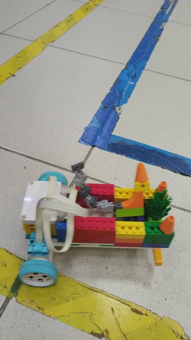 VID_20241127_152842.mp4