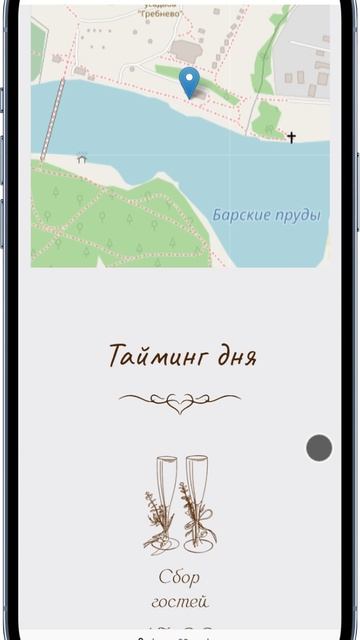 Сайт-приглашение на свадьбу, пример №32