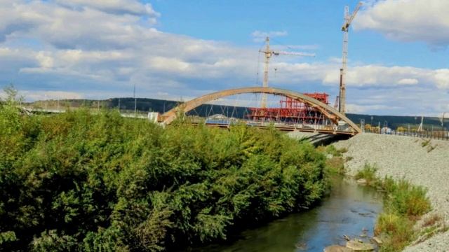 На новой искитимской набережной(кустарник весь вырубили) про гусиков наших