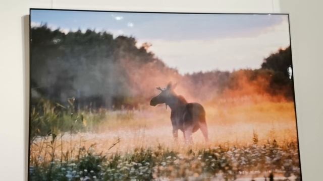 Хакасский национальный краеведческий музей_часть 11_2023-12-26_153631