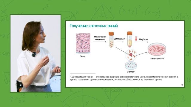 Научный семинар СУНЦ НГУ. Болезнь в пробирке. Соловьева А. О.