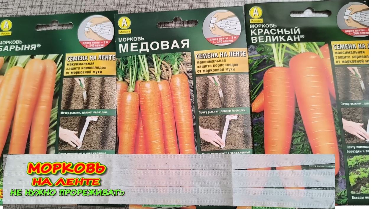 Семена моркови на ленте — это хороший метод упаковки и посадки. Готовимся к дачному сезону.