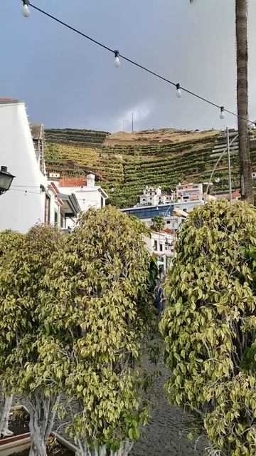 Мадейра_часть_2021-12-21